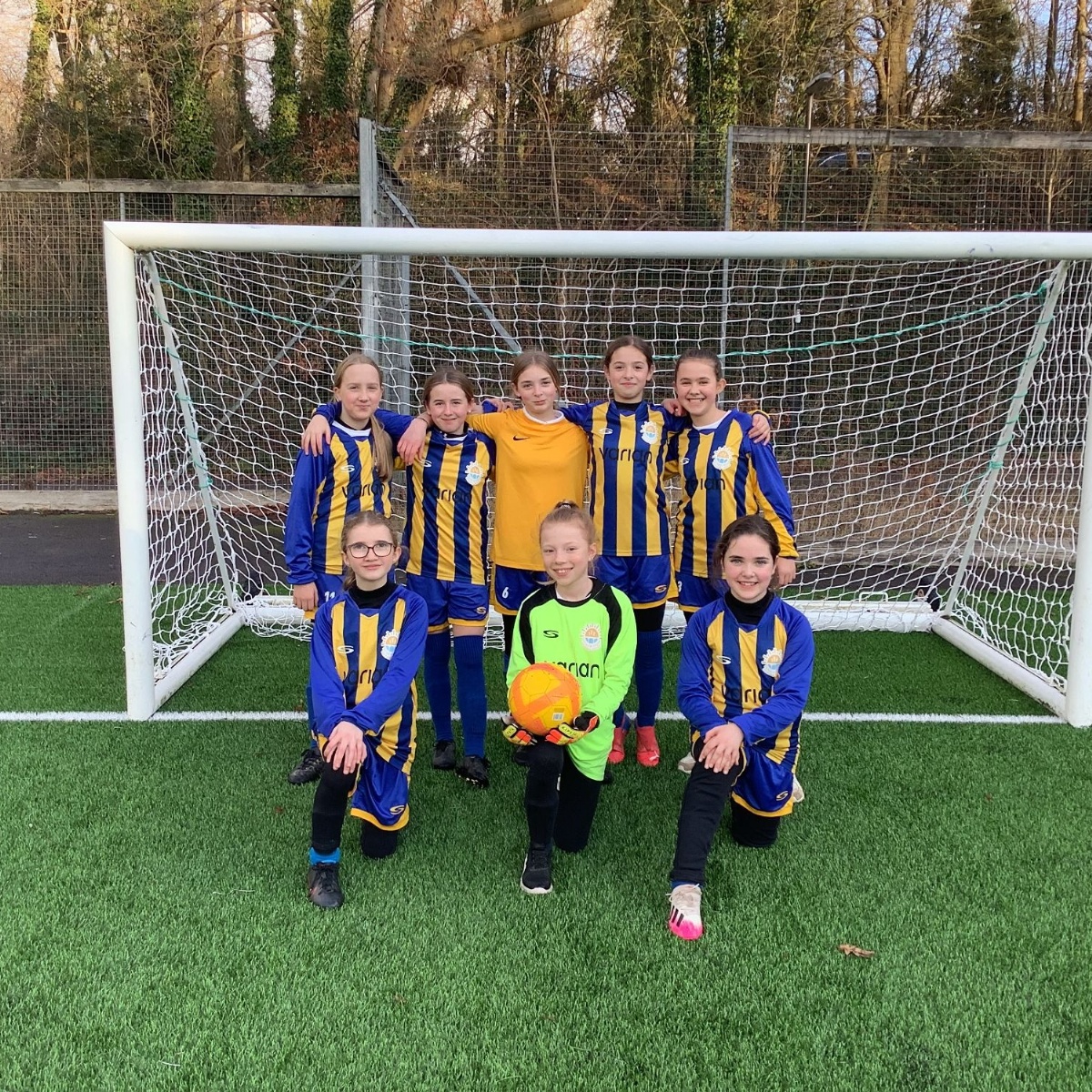 Three Bridges Primary School - Football Finals