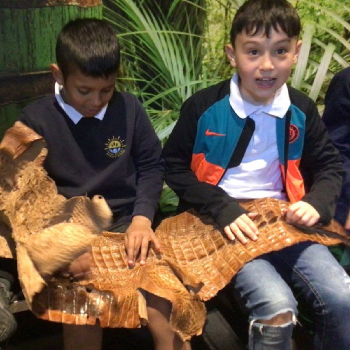 Three Bridges Primary School - Yr 5 Drusillas Park