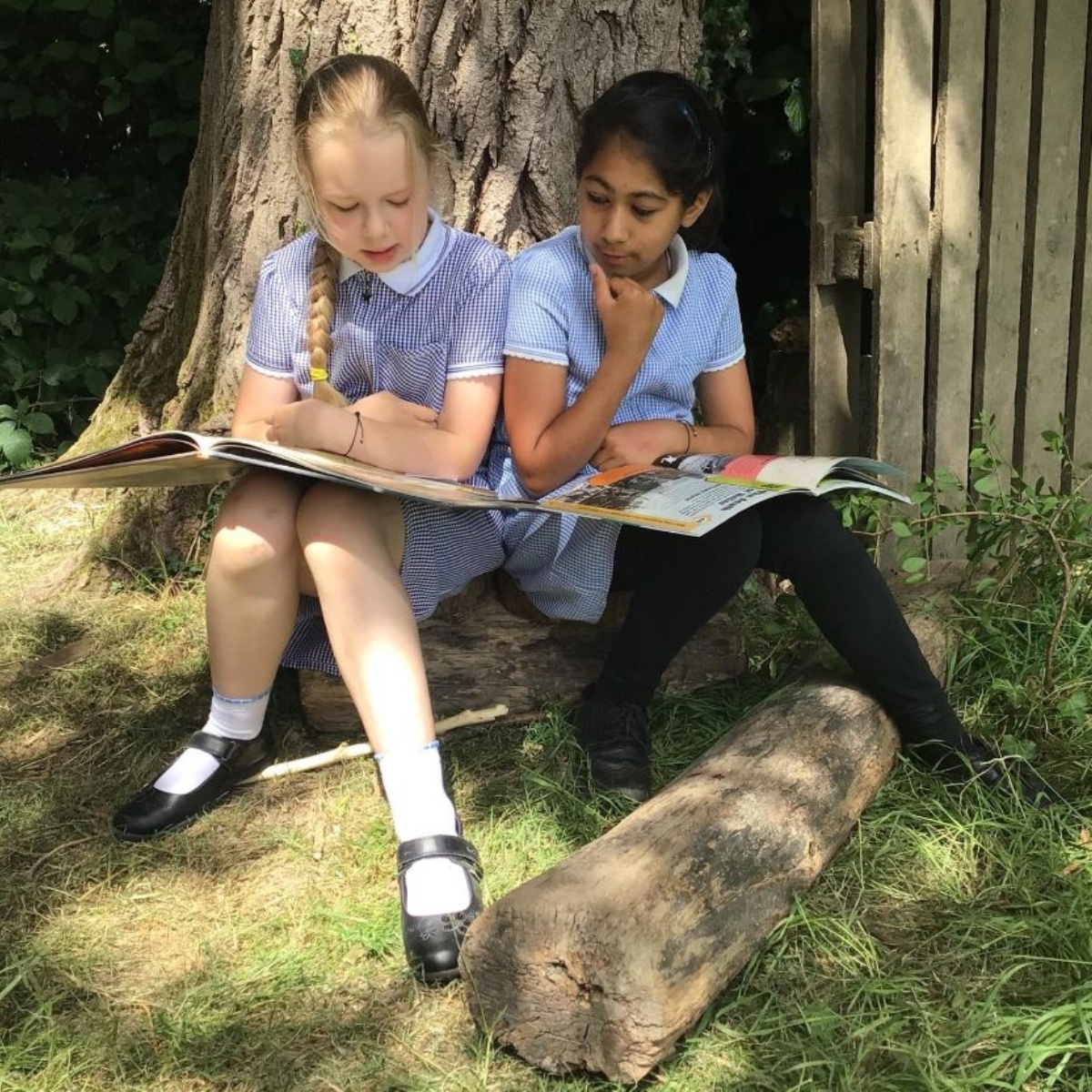Three Bridges Primary School - Outdoor learning