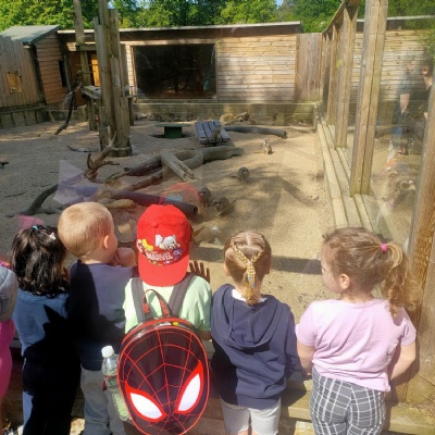 Three Bridges Primary School - Home